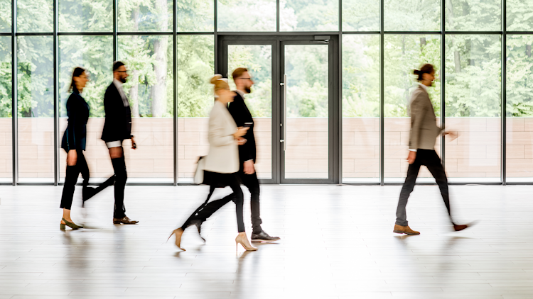 Improving Your Indoor Air: The LEED/WELL Building Standard Explained